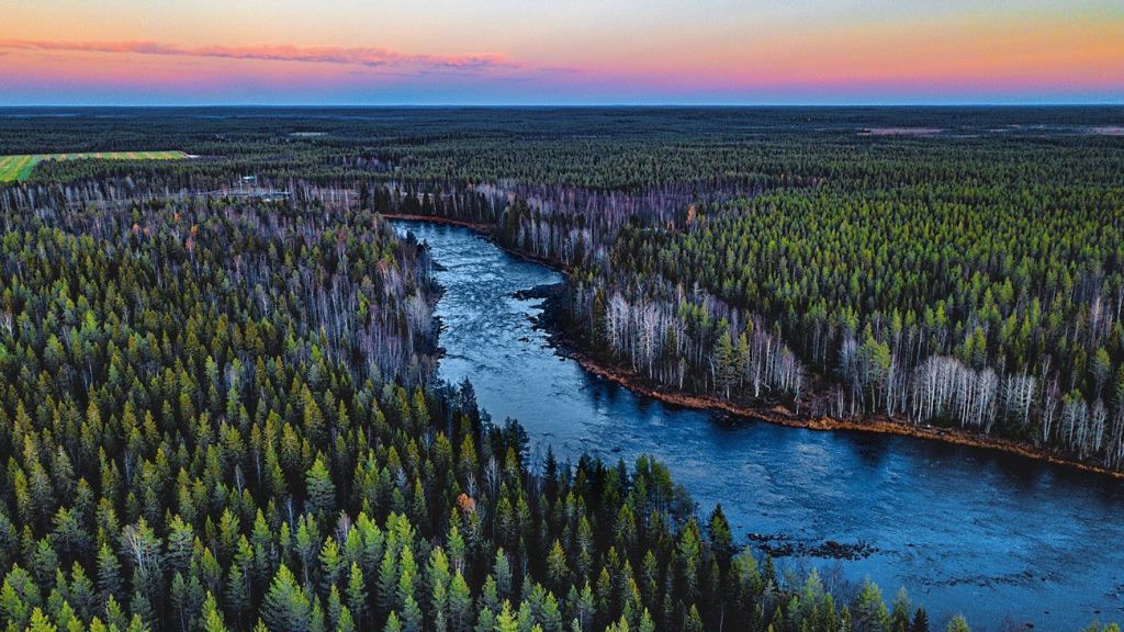 Environment: Status Of The Earth - Law & Crime News