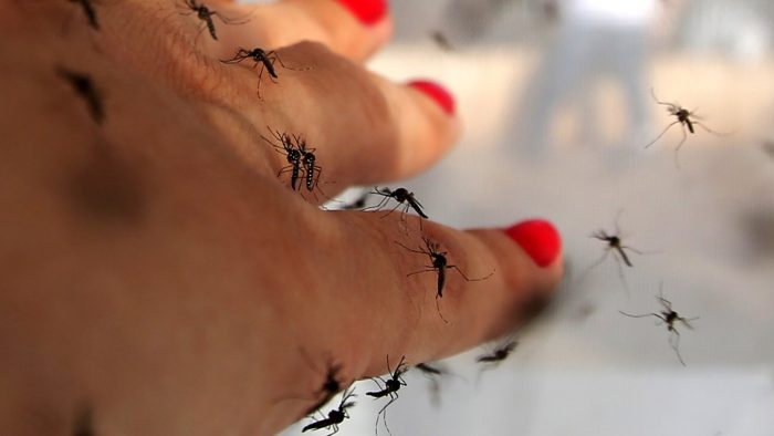 Climate change: UN Report warns of five environment hazards - Law ...