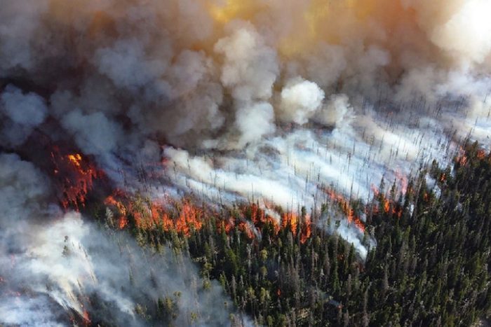 19 firefighters became victims of forest fire in China - Law & Crime News