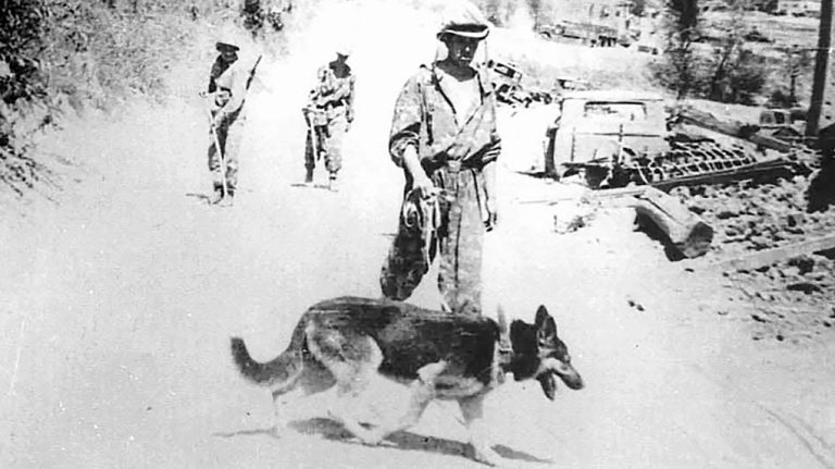 The PFM-1S: why Afghans believed that these mines were designed for ...